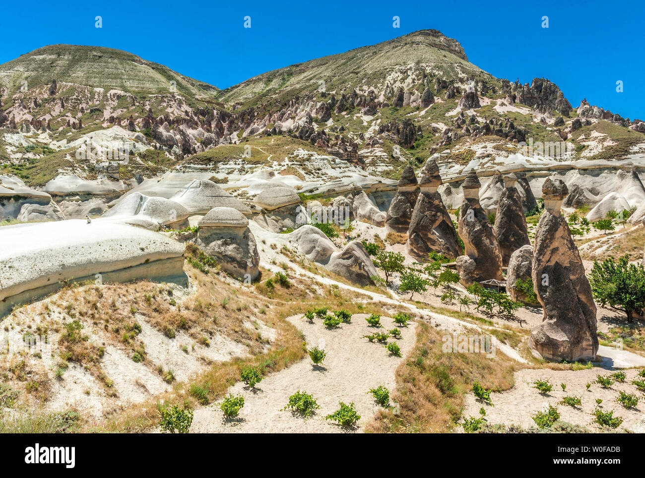 Turkey, Goreme National park and the rock sites of Cappadocia, hoodoos ...