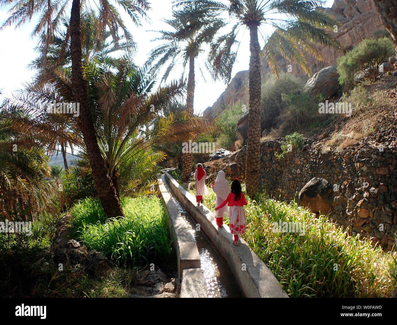 Irrigation agriculture oman water hi-res stock photography and images ...