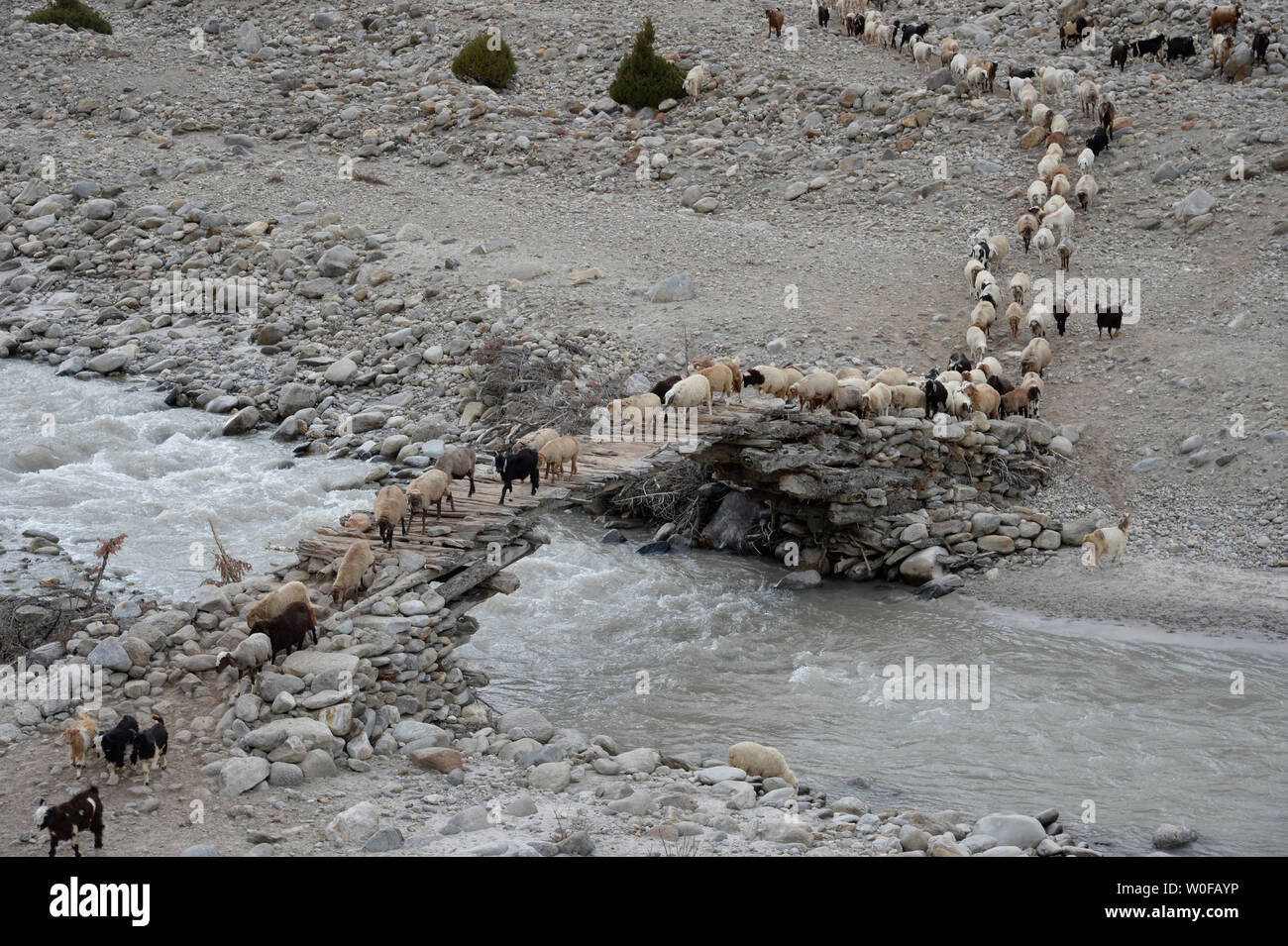 Baltistan hi-res stock photography and images - Alamy