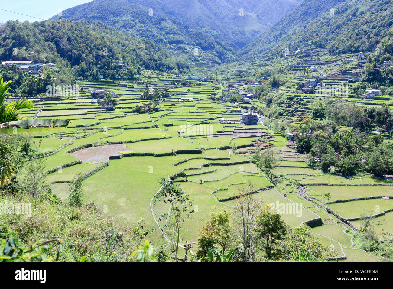 Hapao rice terraces, near Banaue, Philippines Stock Photo - Alamy