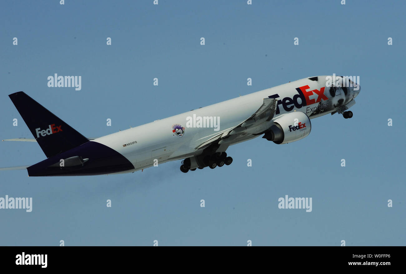 A FedEx Express 777 Freighter airplane, carrying Tai Shan, a 4 year old ...