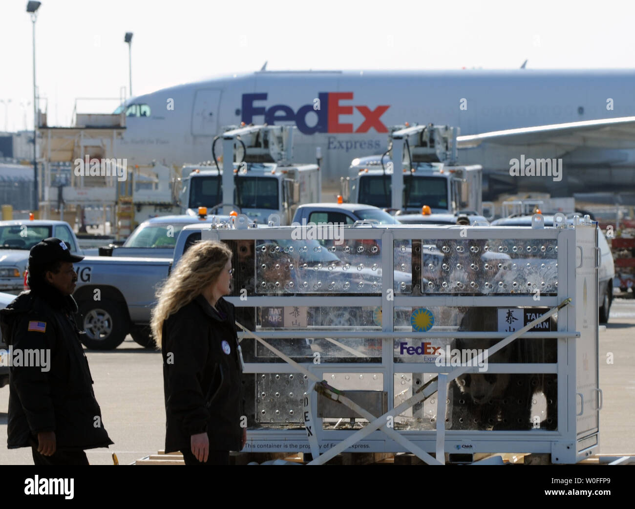 Tai Shan, a 4 year old male giant panda, is moved into a FedEx Express ...