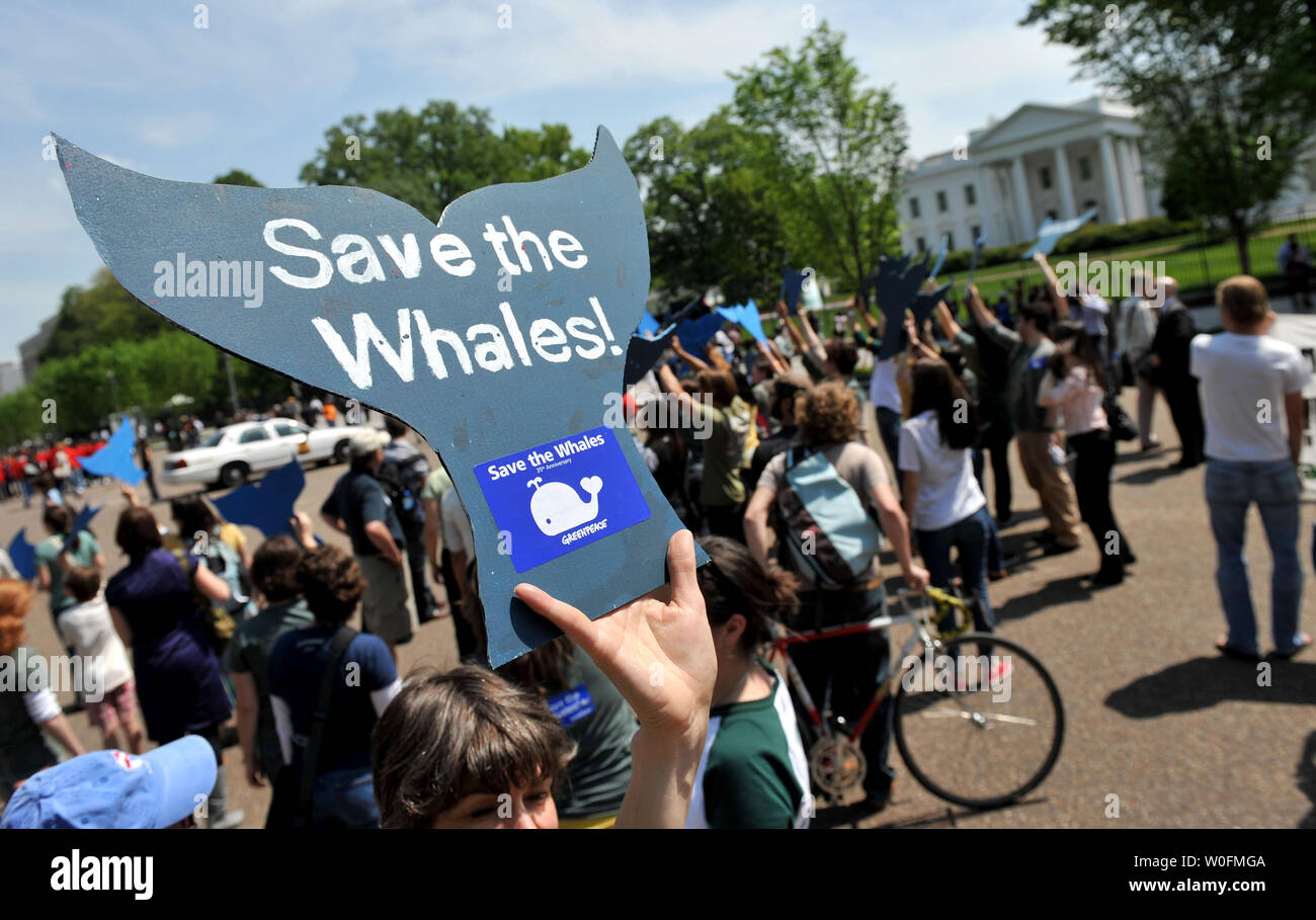 Whale day protest white house hi-res stock photography and images - Alamy