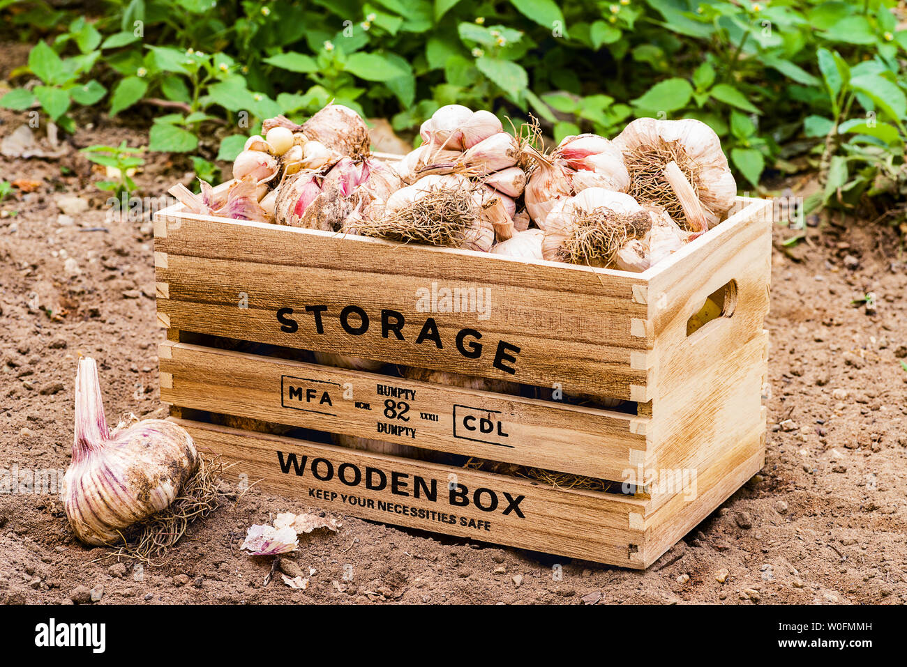 Container horizontal hi-res stock photography and images - Alamy