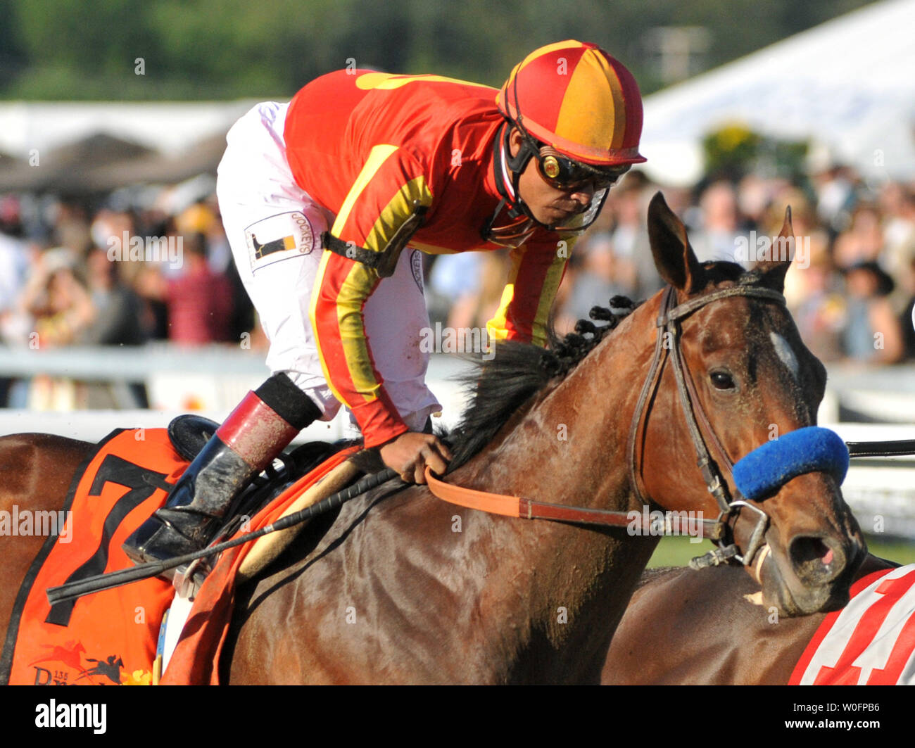 Lookin at lucky hi-res stock photography and images - Alamy