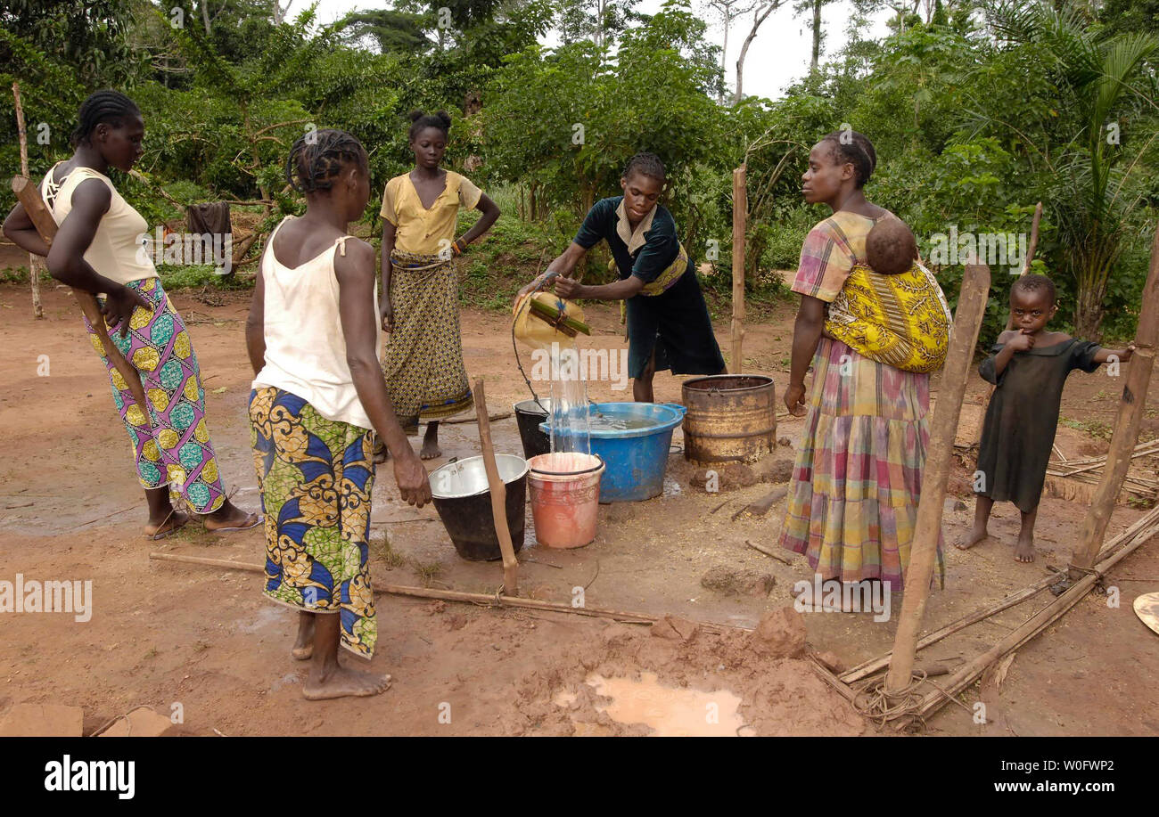 A group of Aka Pygmy women, living with their families in the Central ...