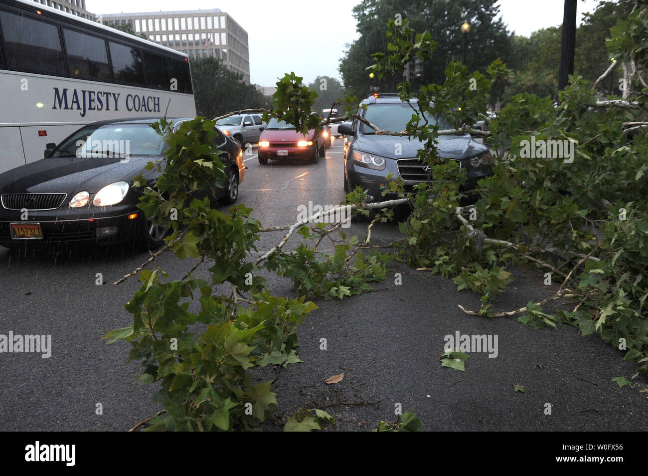 A fallen tree blocks a traffic lane on E Street in Northwest Washington ...