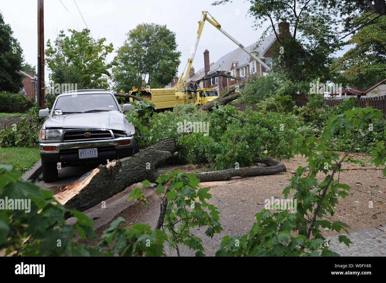Tree limbs block a road as contractors begin to clean up in the ...