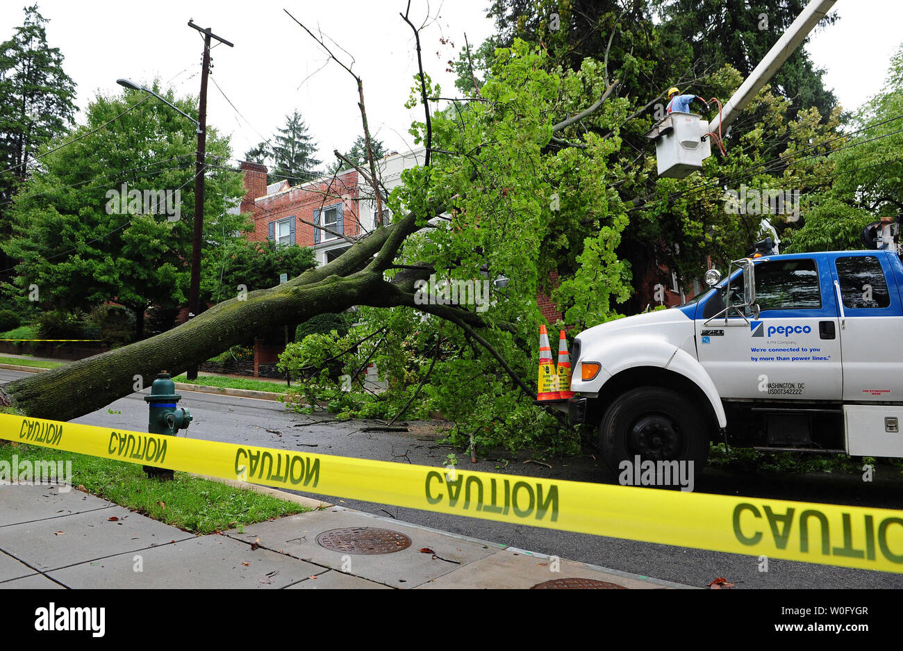 Pepco employees clean up a tree after if fell onto power lines on ...