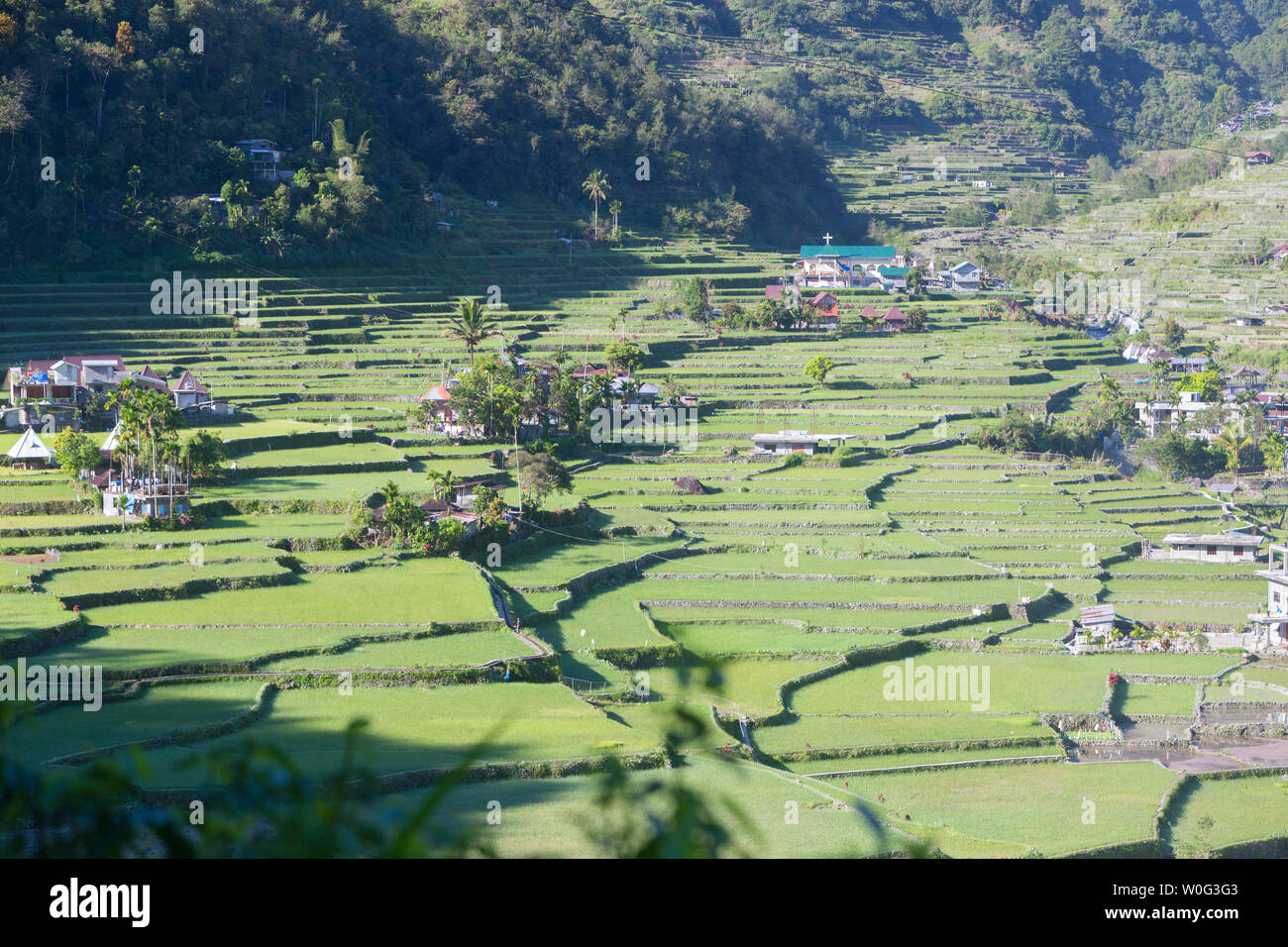 Hapao rice terraces, near Banaue, Philippines Stock Photo - Alamy