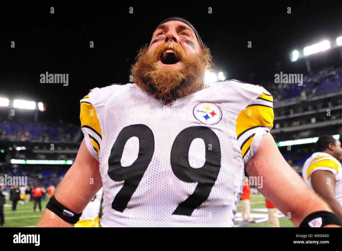 Brett Keisel High Resolution Stock Photography and Images - Alamy