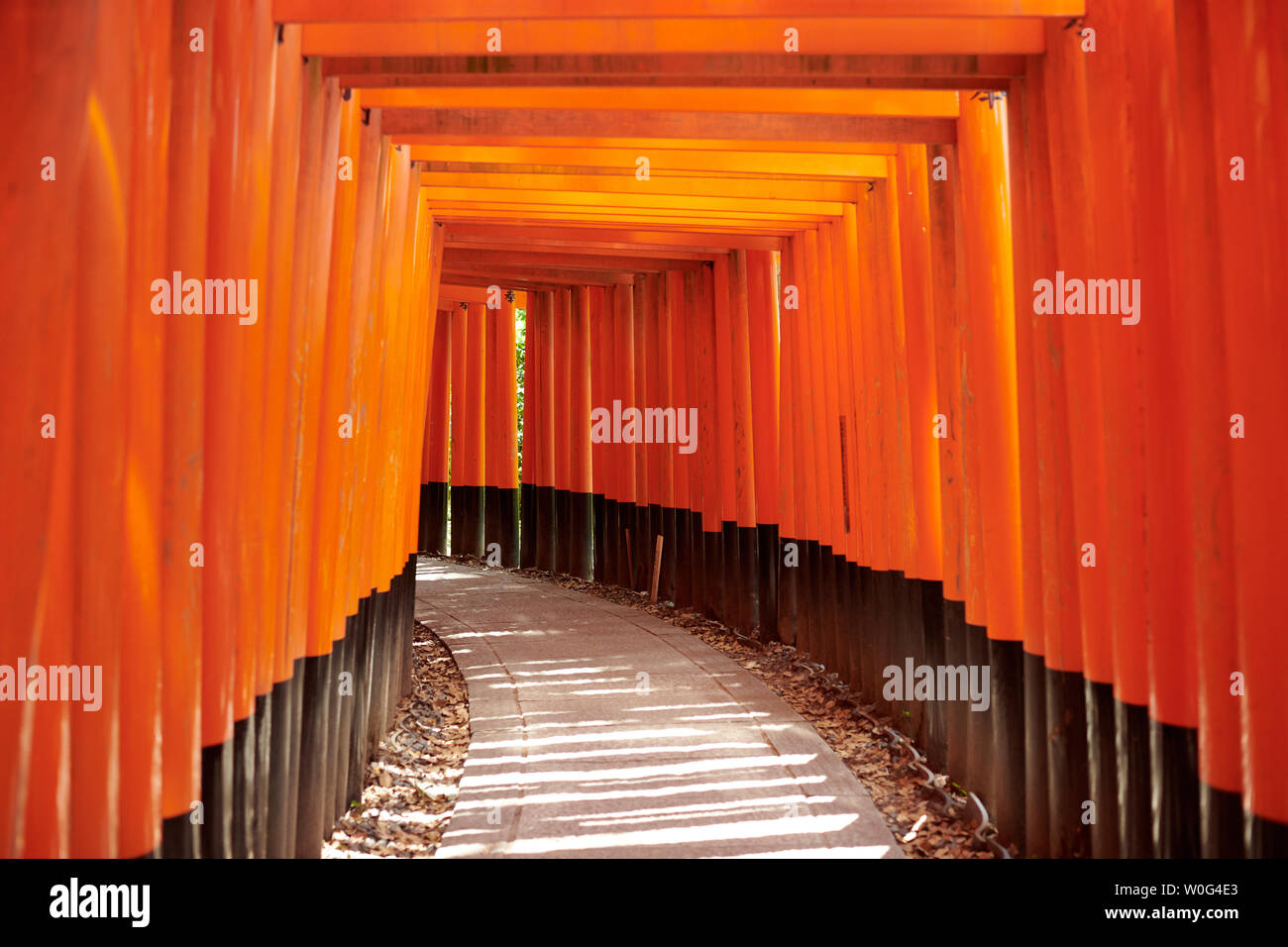 Fushimi Inari Shrine Stock Photo - Alamy