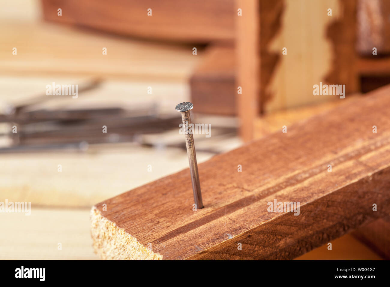 Hammered nails into a tree Stock Photo - Alamy