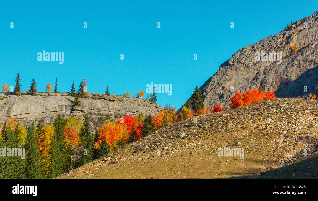 Toured outdoors hi-res stock photography and images - Alamy