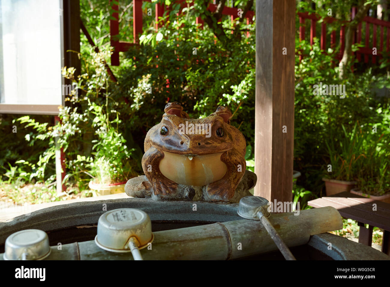 Stone toad hi-res stock photography and images - Alamy