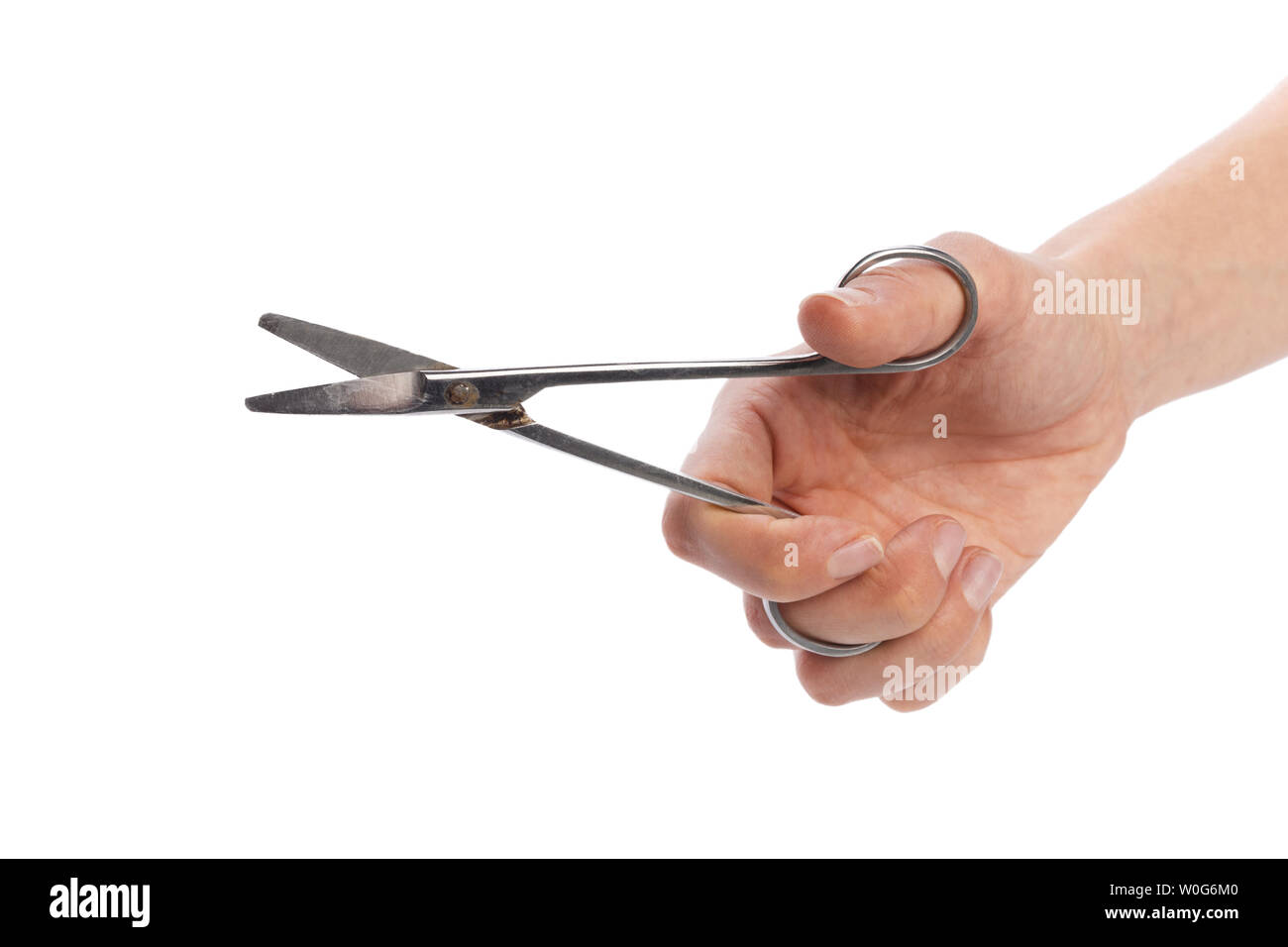 Female hand holding scissors, isolated on white background Stock Photo ...