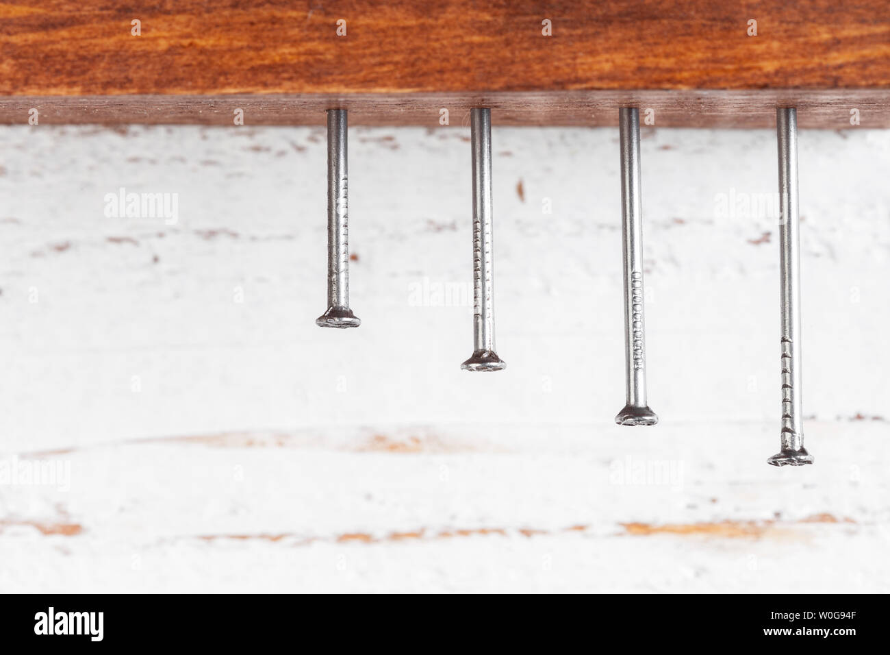 Hammered nails into a tree Stock Photo - Alamy
