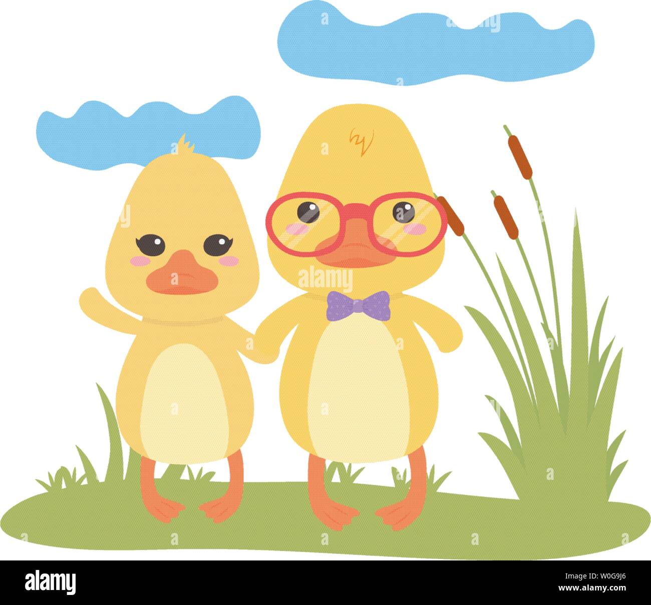 Couple of ducks cartoons design, Animal cute zoo life nature and fauna ...