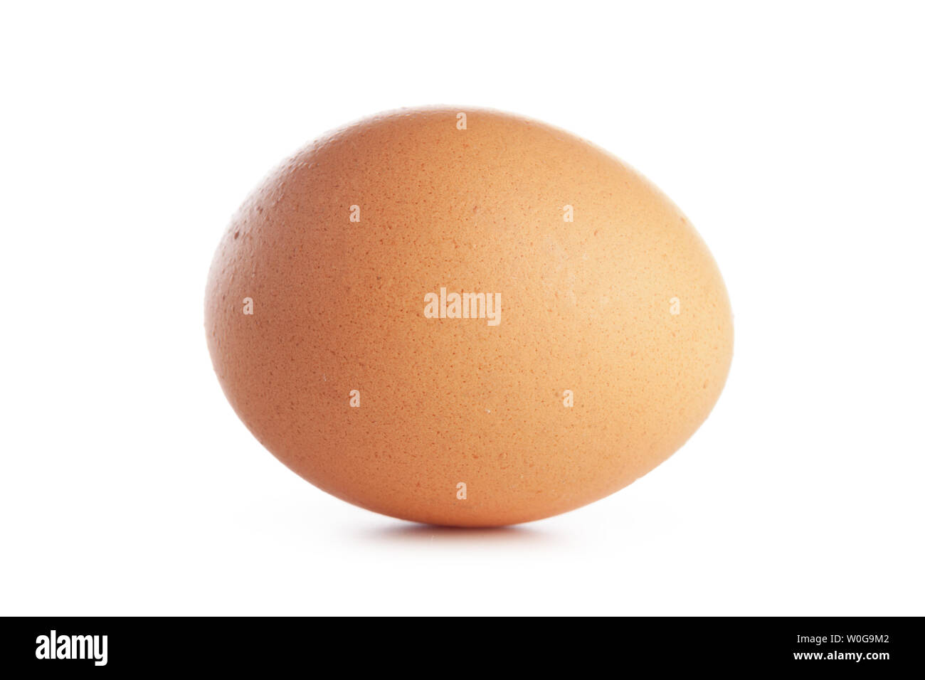 egg on white background Stock Photo - Alamy