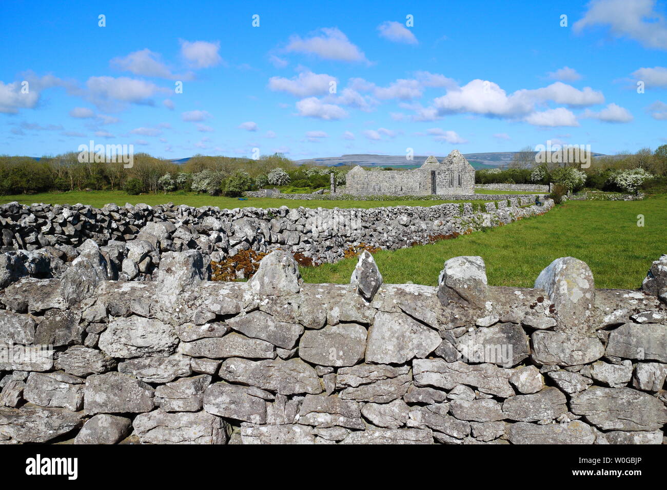 Former Irish Monastery of Kilmacduagh Stock Photo - Alamy