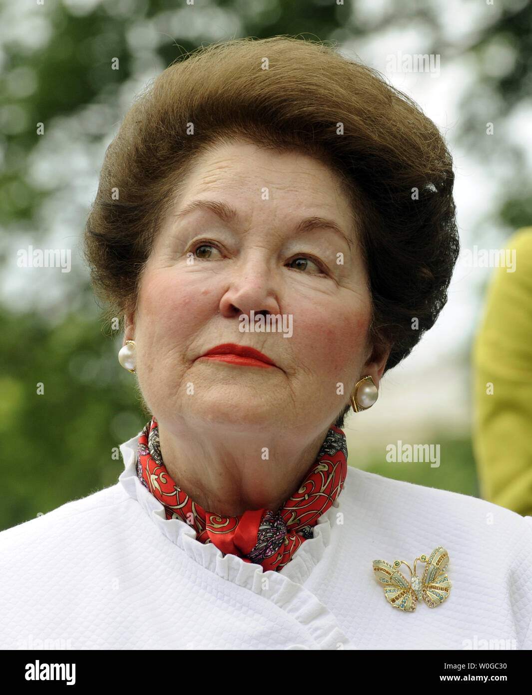 American red oak hi-res stock photography and images - Alamy