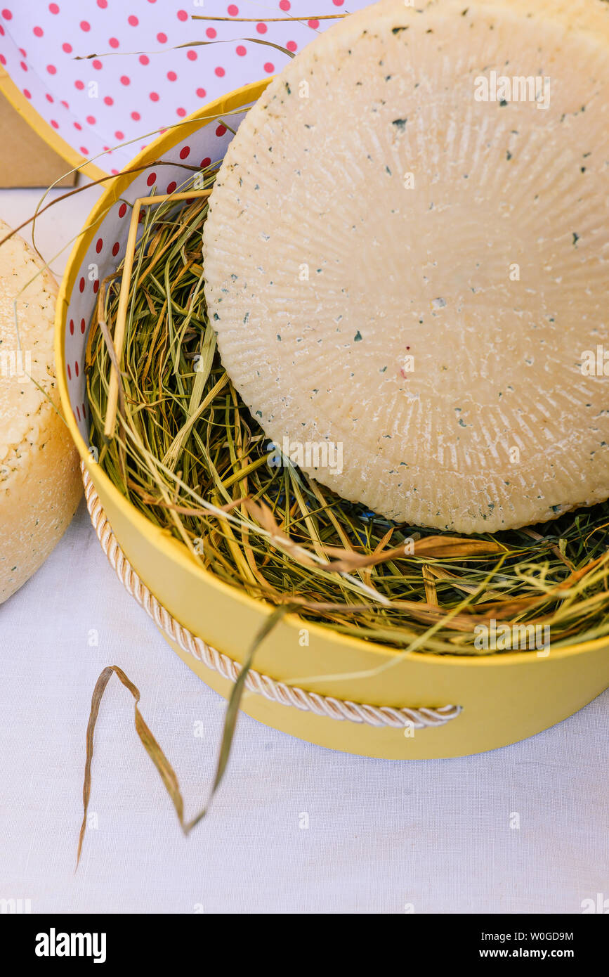 A big head of cheese lies in a gift box. Hard fresh round cheese ...
