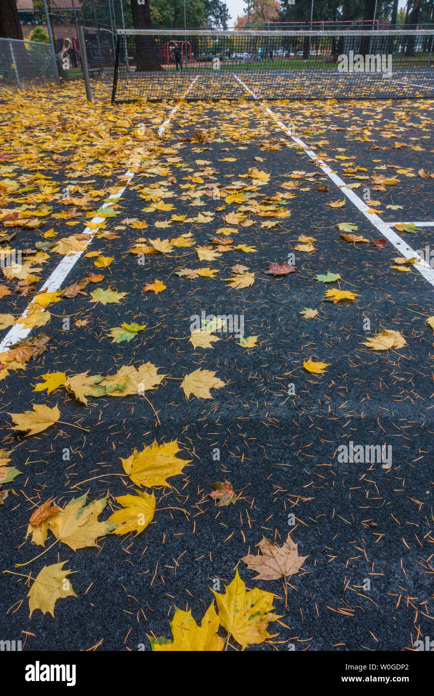 Autumn tennis court Stock Photo - Alamy