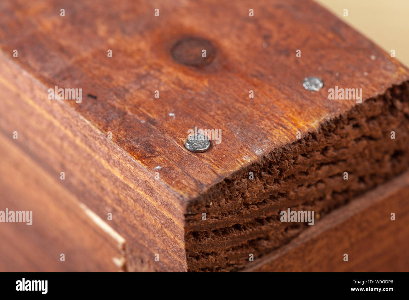 Hammered nails into a tree Stock Photo - Alamy