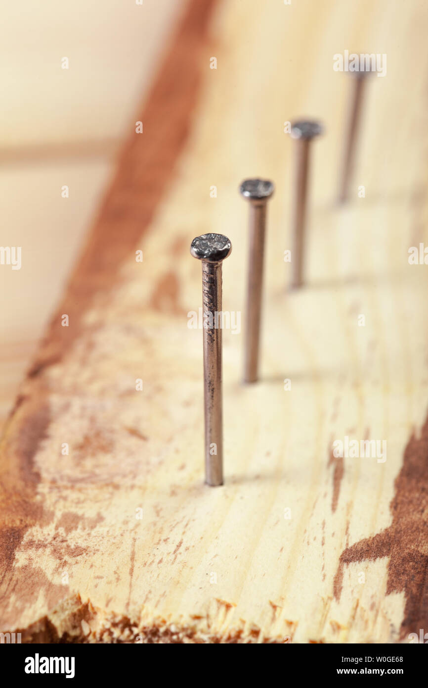Hammered nails into a tree Stock Photo - Alamy
