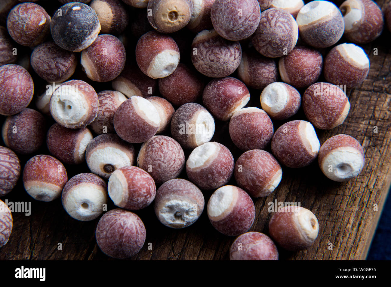 A delicious ingredient, Gorgon, also known as Zhaoshi and chicken head ...