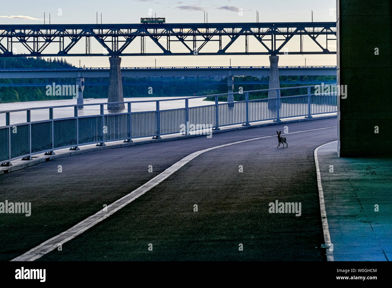 High level bridge edmonton hi-res stock photography and images - Alamy
