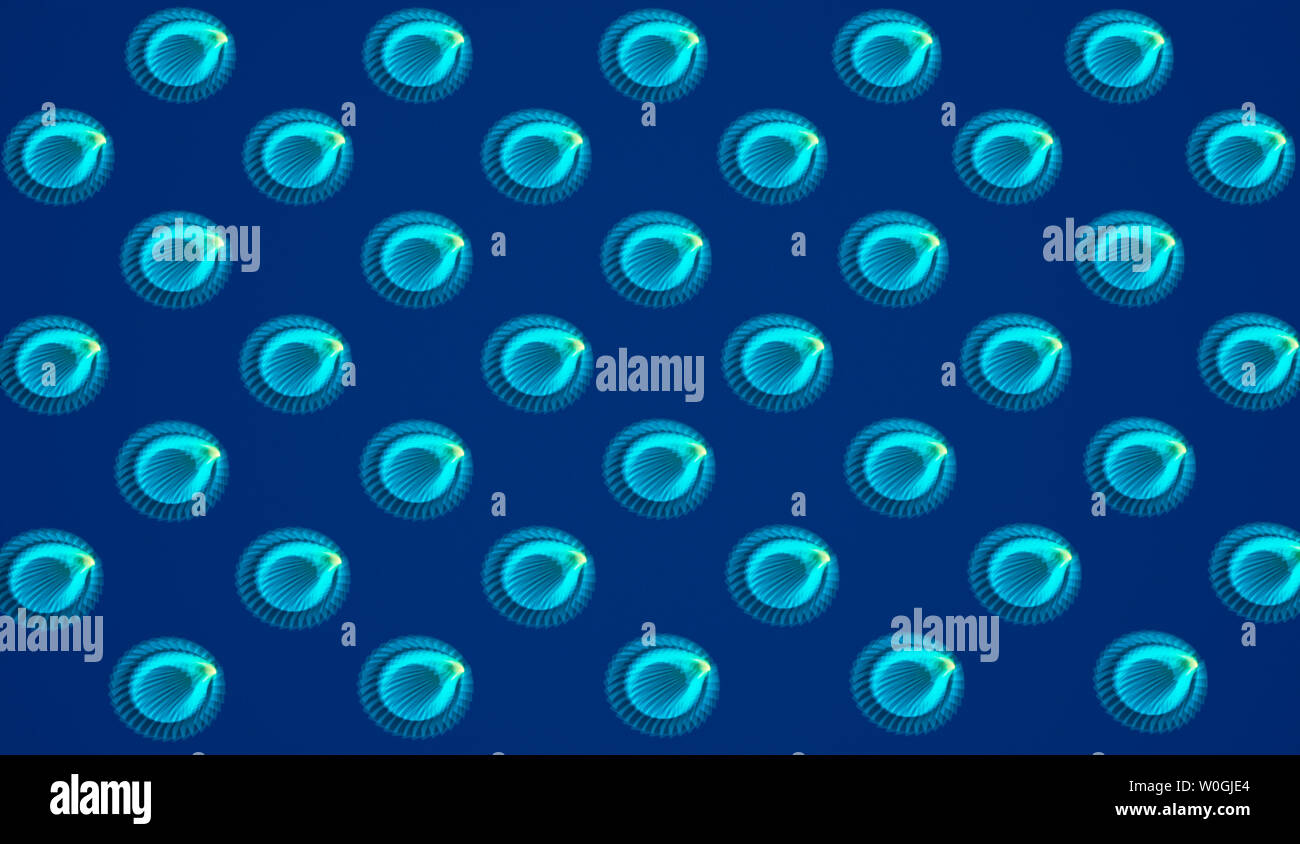 Abstract Seashells On Blue Background. Sea Ocean Shell Pattern Stock ...