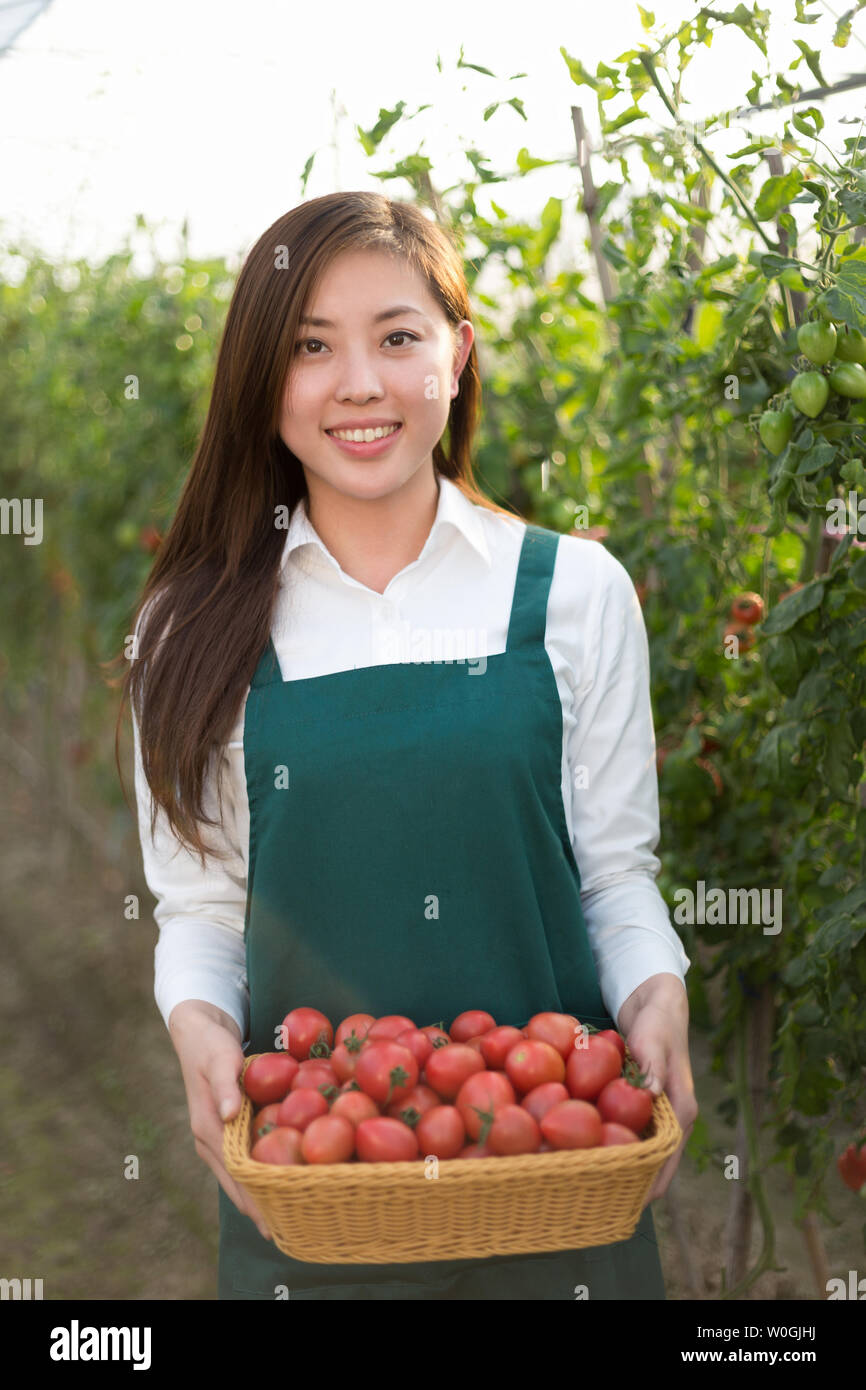 young beautiful chinese woman works in green field Stock Photo - Alamy