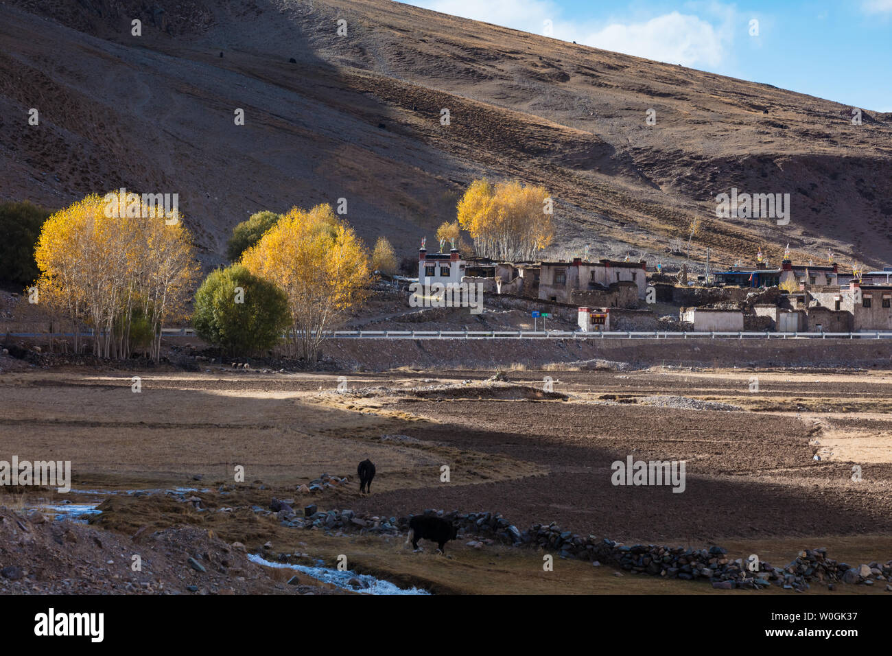 Autumn in Tibet Stock Photo - Alamy