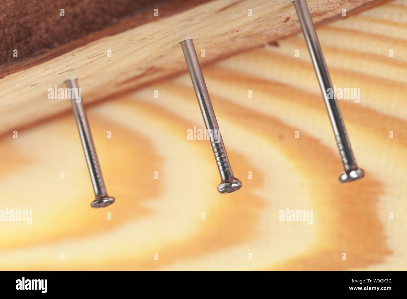 Hammered nails into a tree Stock Photo - Alamy