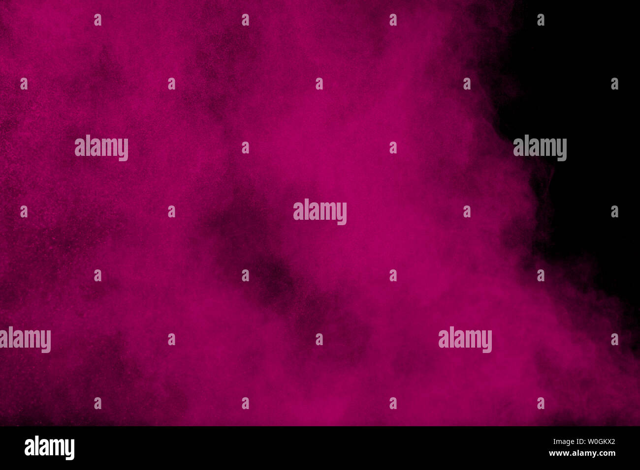 Pink powder explosion on black background.Pink dust particles splash ...