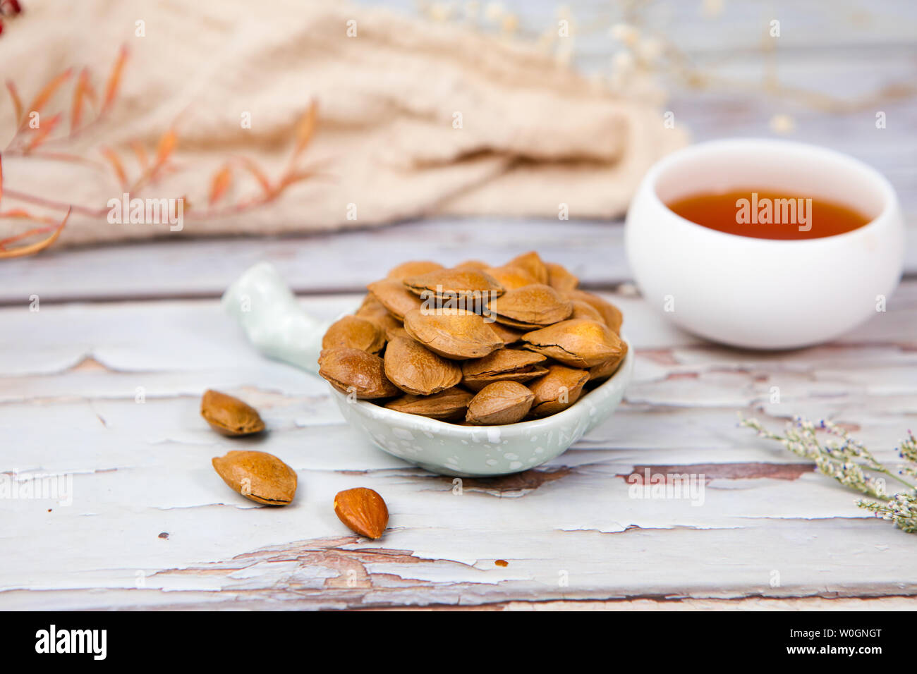 Open little Ginkgo biloba Stock Photo - Alamy