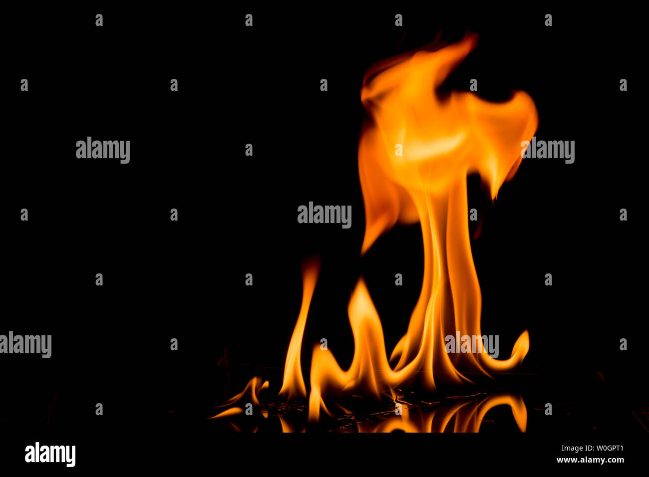 Nature Fire flames on black background. Freeze motion of Red-Yellow ...