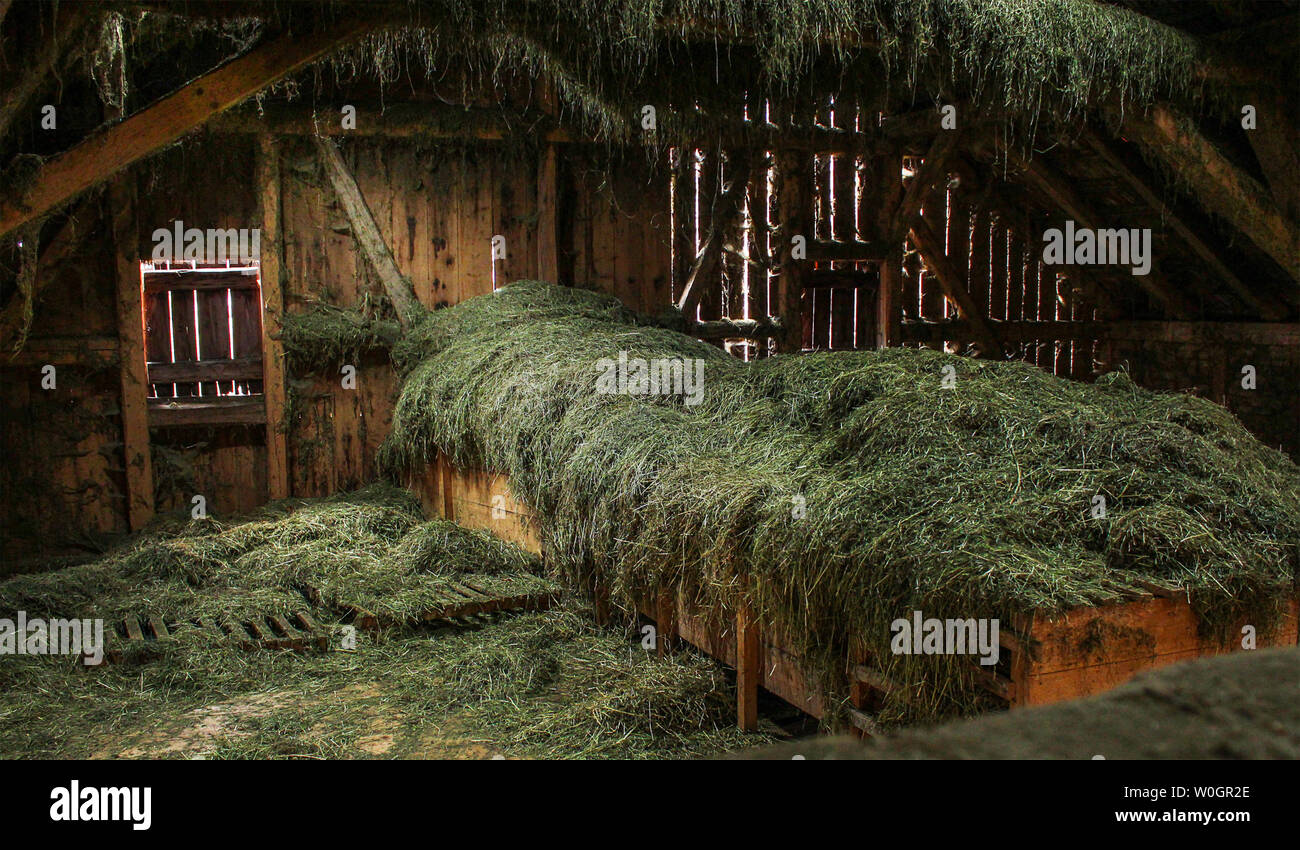 Rustic stable interior hi-res stock photography and images - Alamy