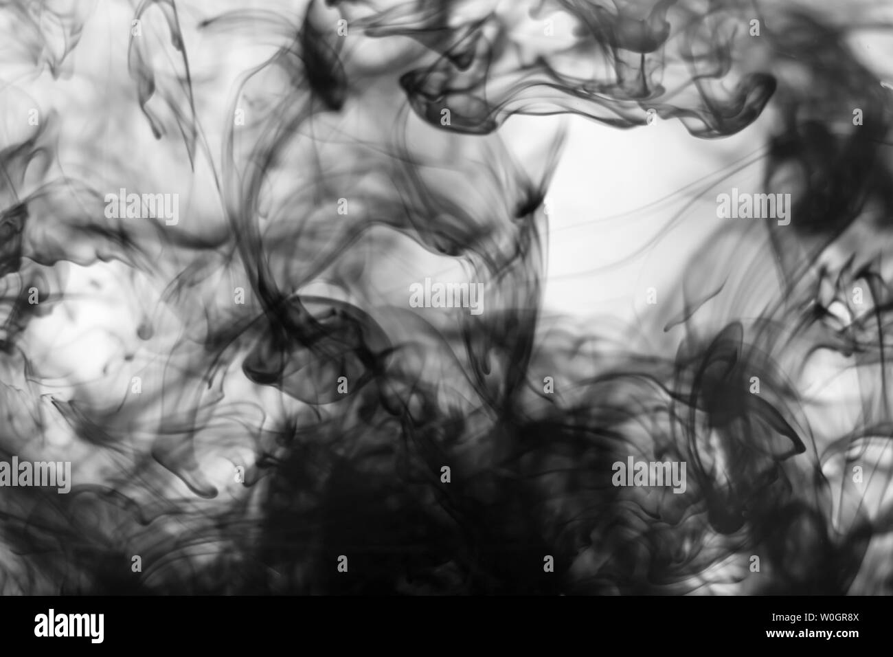 Black ink dropped into water isolated on white background. Ink flowed ...