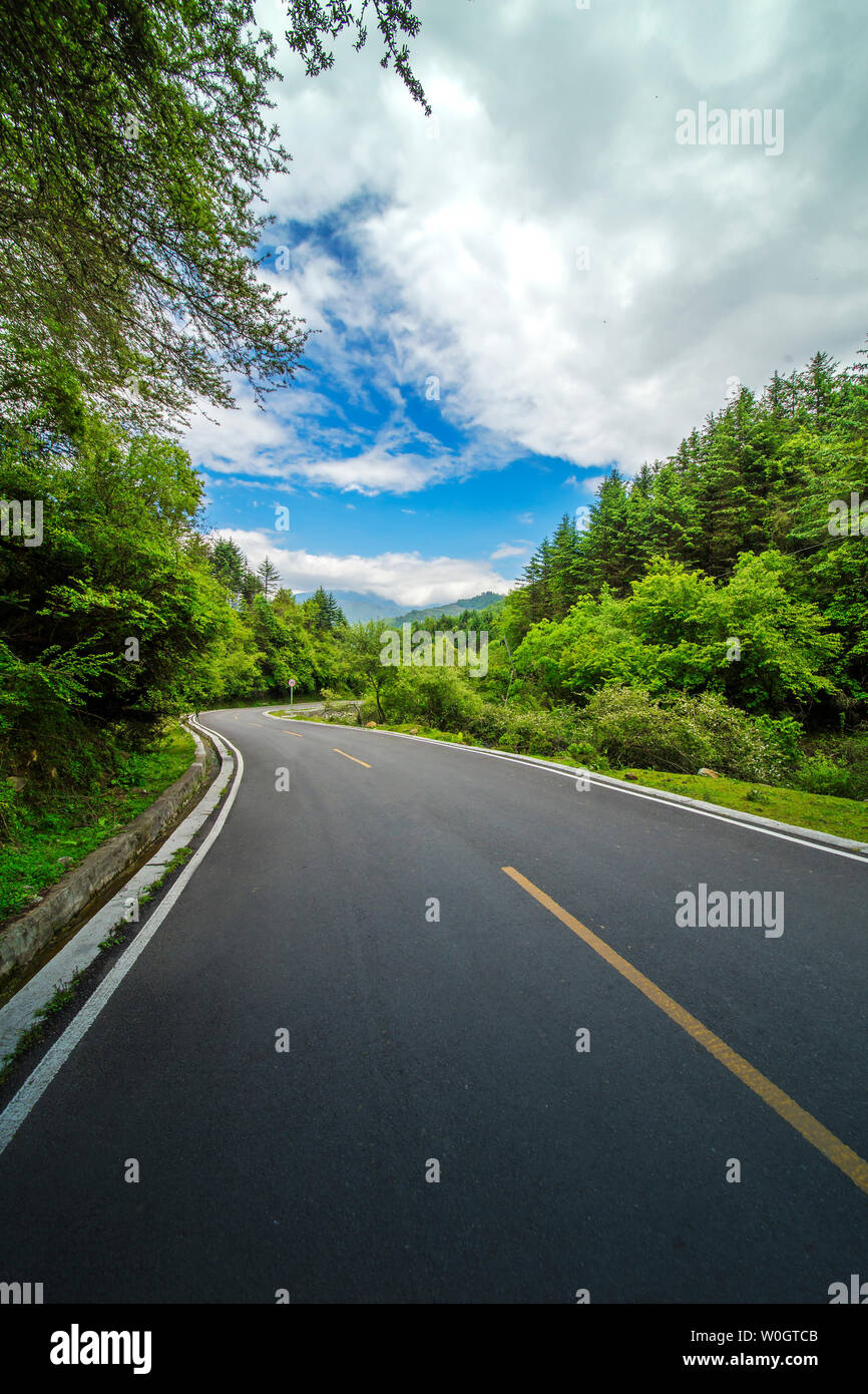 Forest road outdoor car background Stock Photo - Alamy