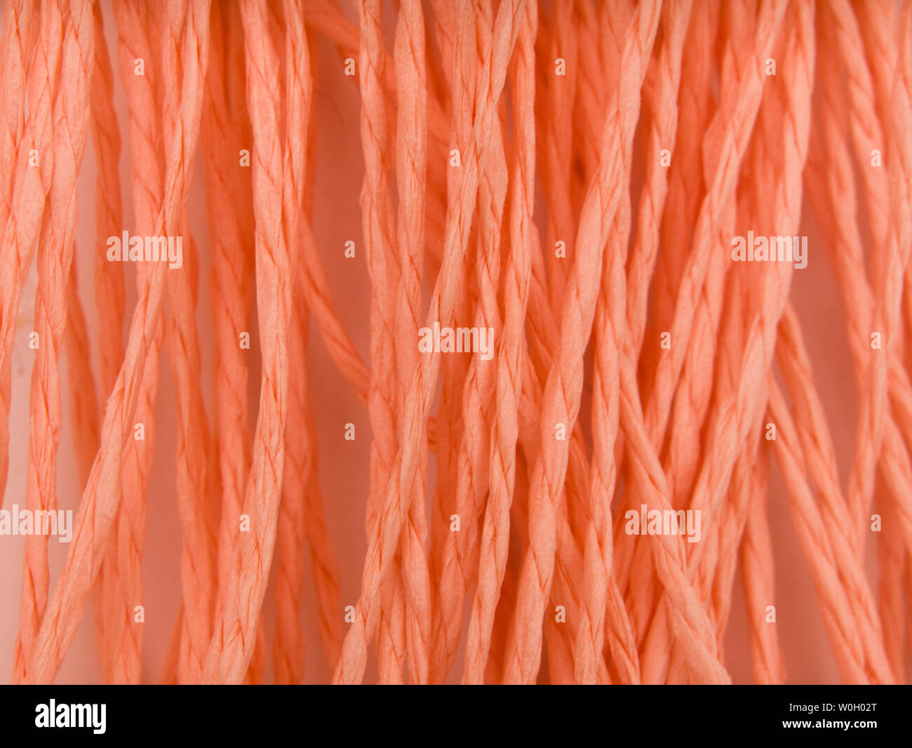 Coral color background . Coral color backdrop for your design Stock ...