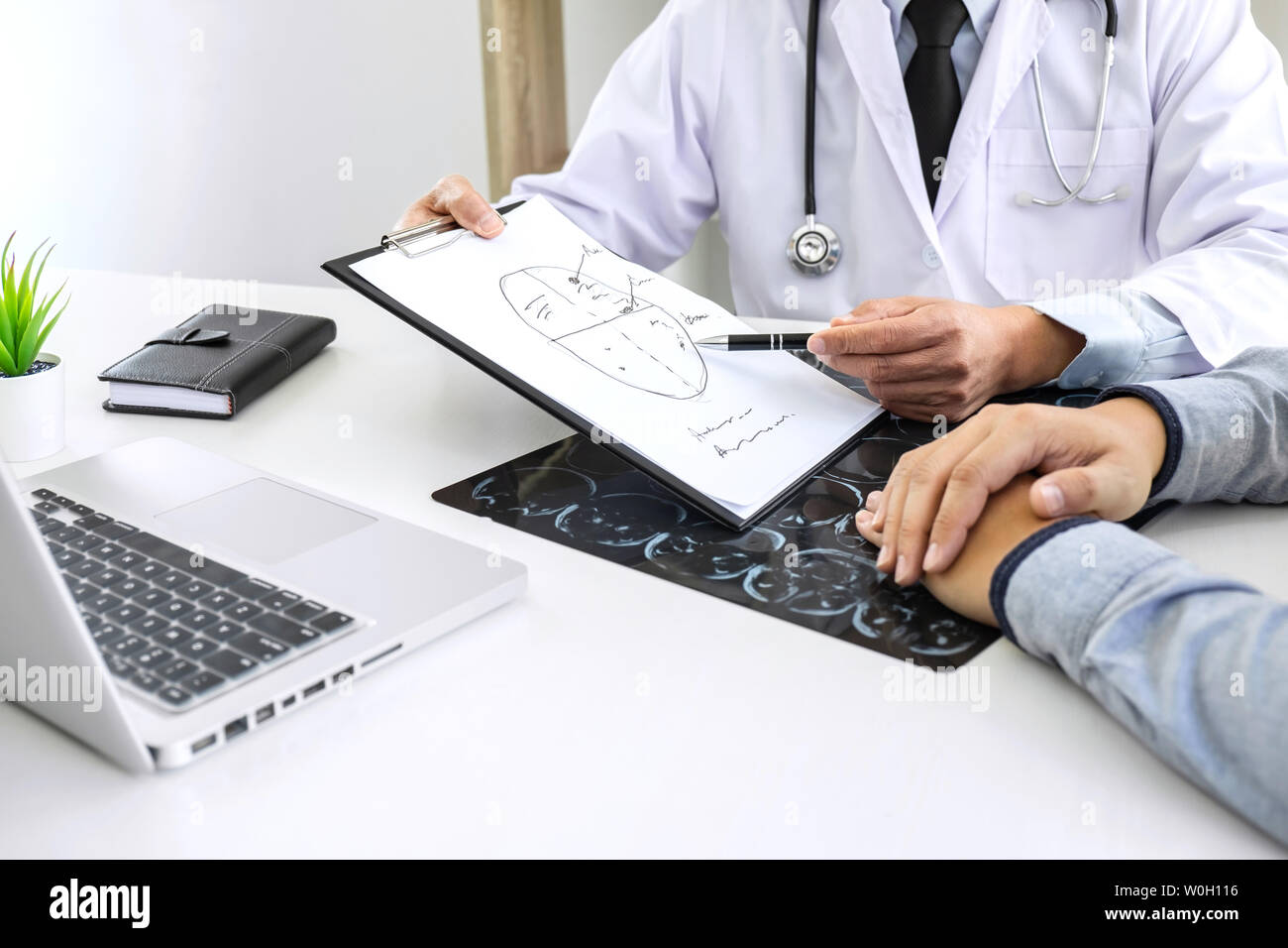 Professor Doctor having conversation with patient and holding x-ray ...
