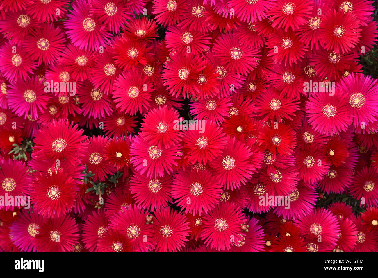 Creative color and scenery hi-res stock photography and images - Alamy