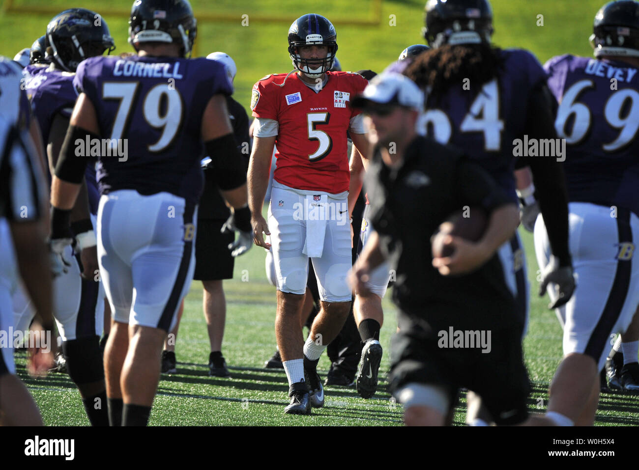 Joe flacco 2013 camp hi-res stock photography and images - Alamy