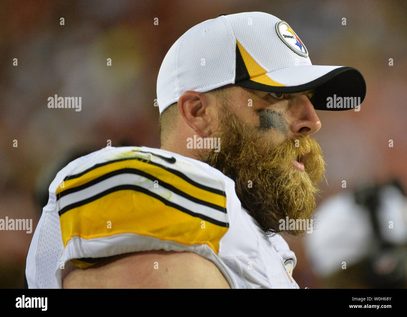 Pittsburgh steelers logo hi-res stock photography and images - Alamy