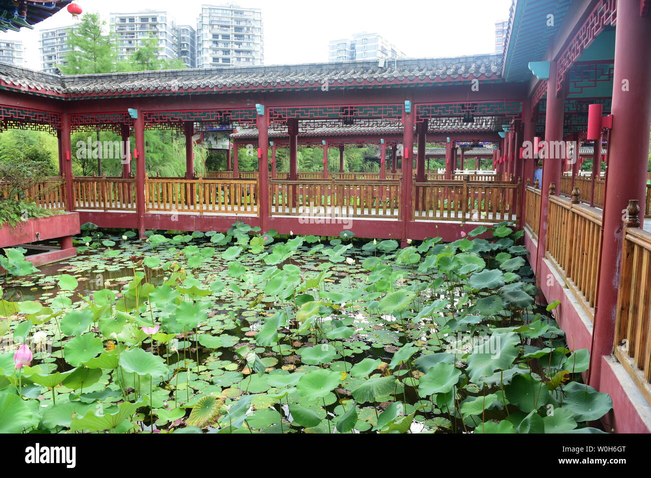 Antique architecture and lotus pavilion lotus Stock Photo - Alamy