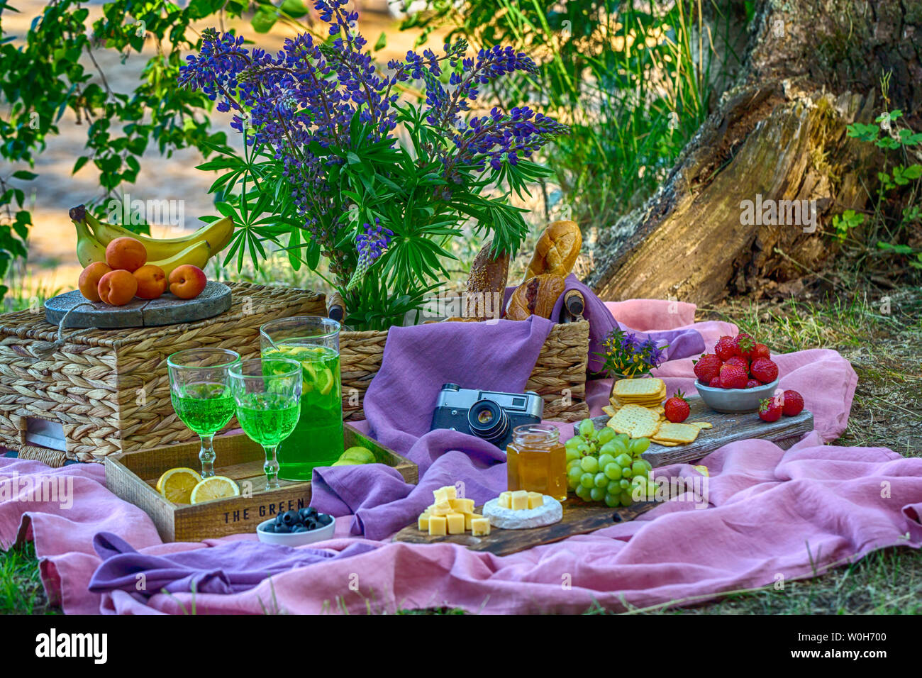 cosy picnic with fruits and vegetables in forest near the river bright ...