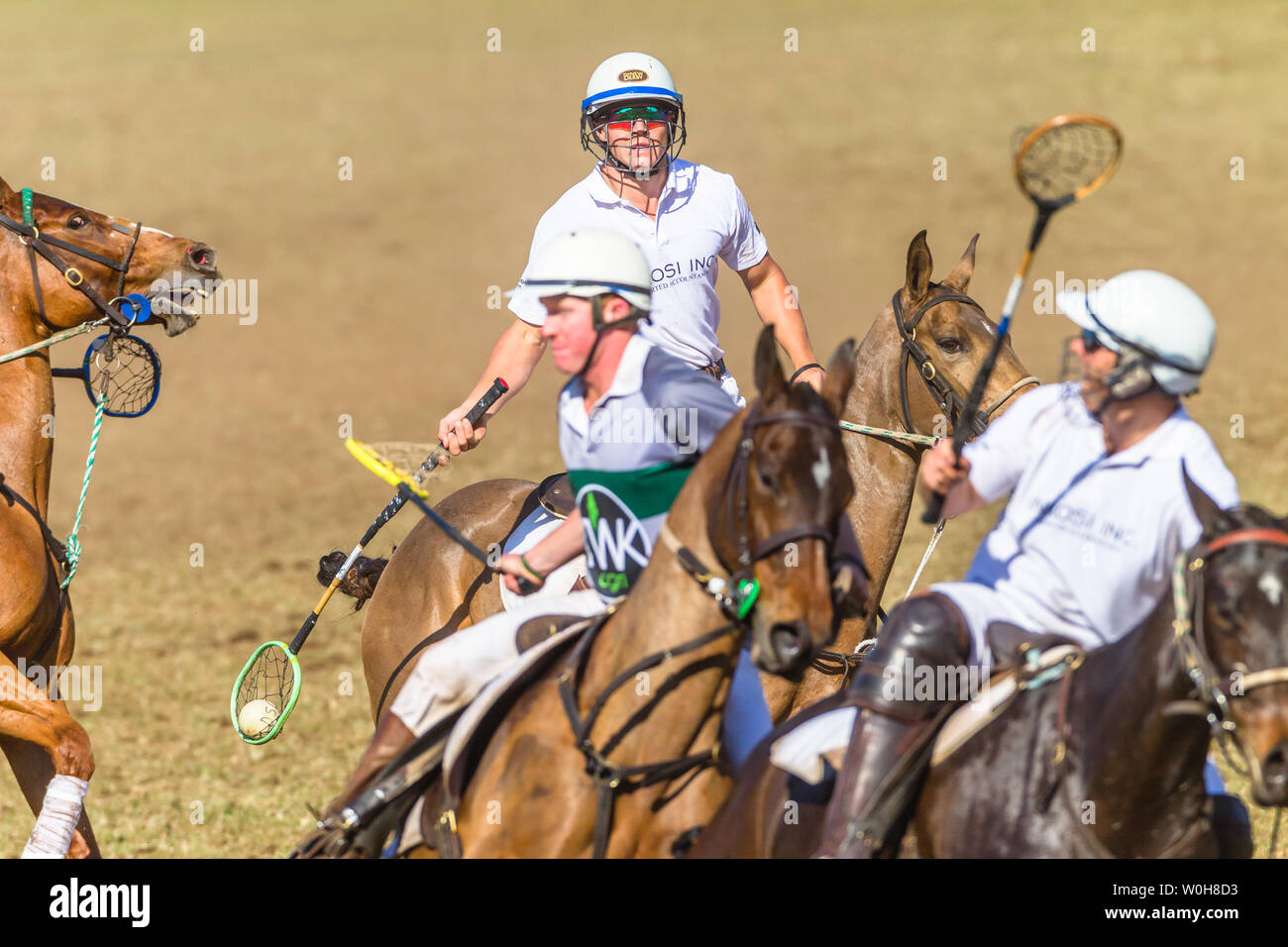 Polocrosse hi-res stock photography and images - Alamy