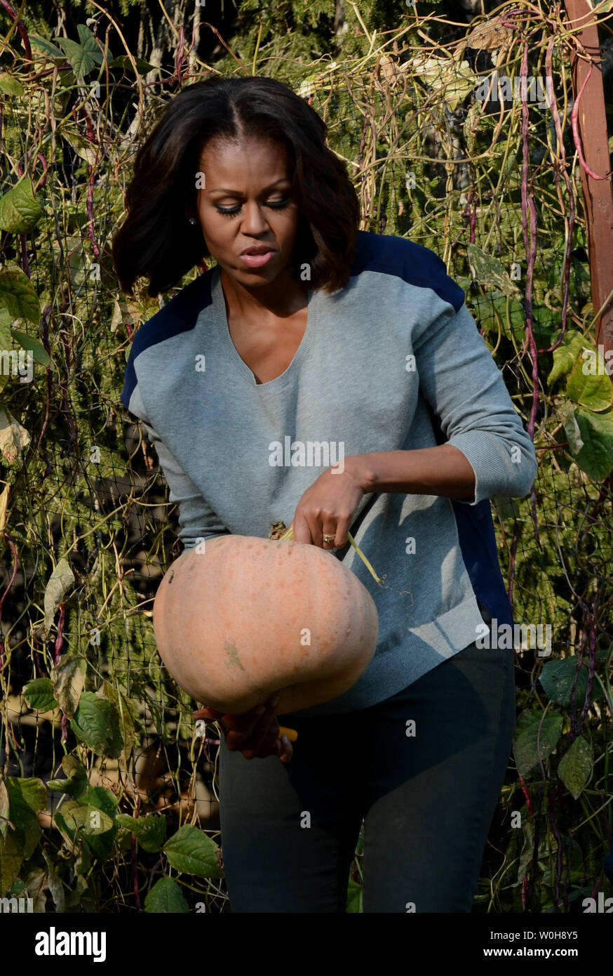 First Lady Michelle Obama pulls up pumpkins as she helps school ...